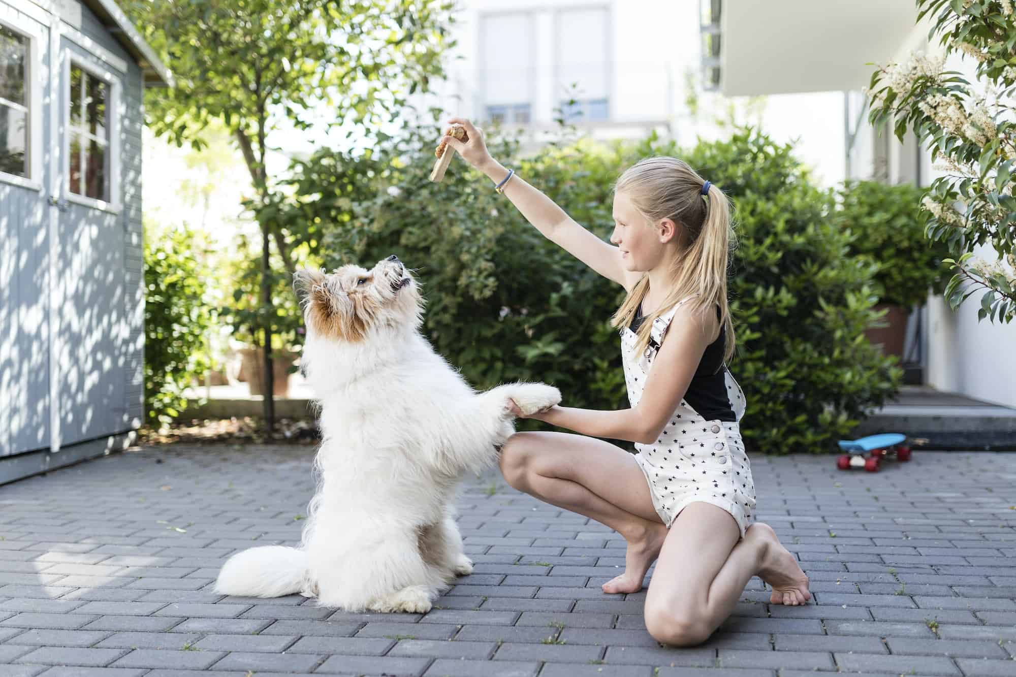 Success of Animal Therapy for Troubled Teens - Help Your Teens